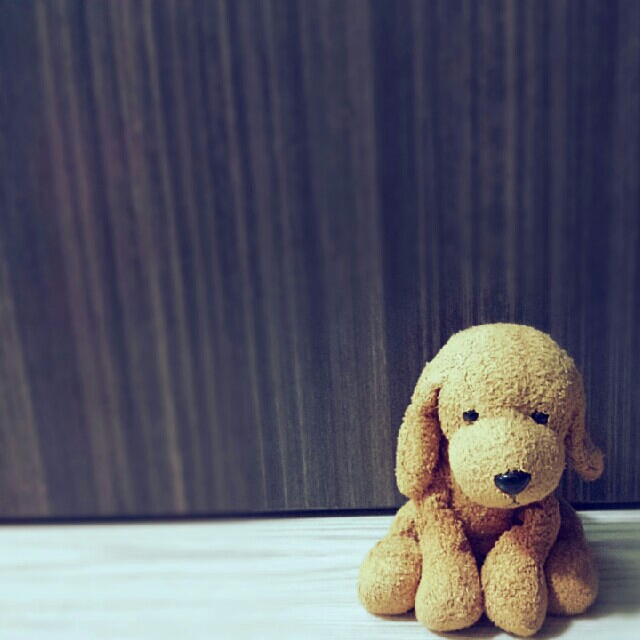 Come back to the heart of Christmas – SERAPHIC MERMAID